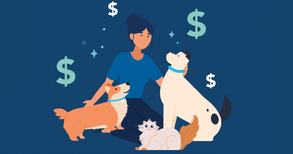 FIMC Partner Success Stories - Case Studies & Partner Integration